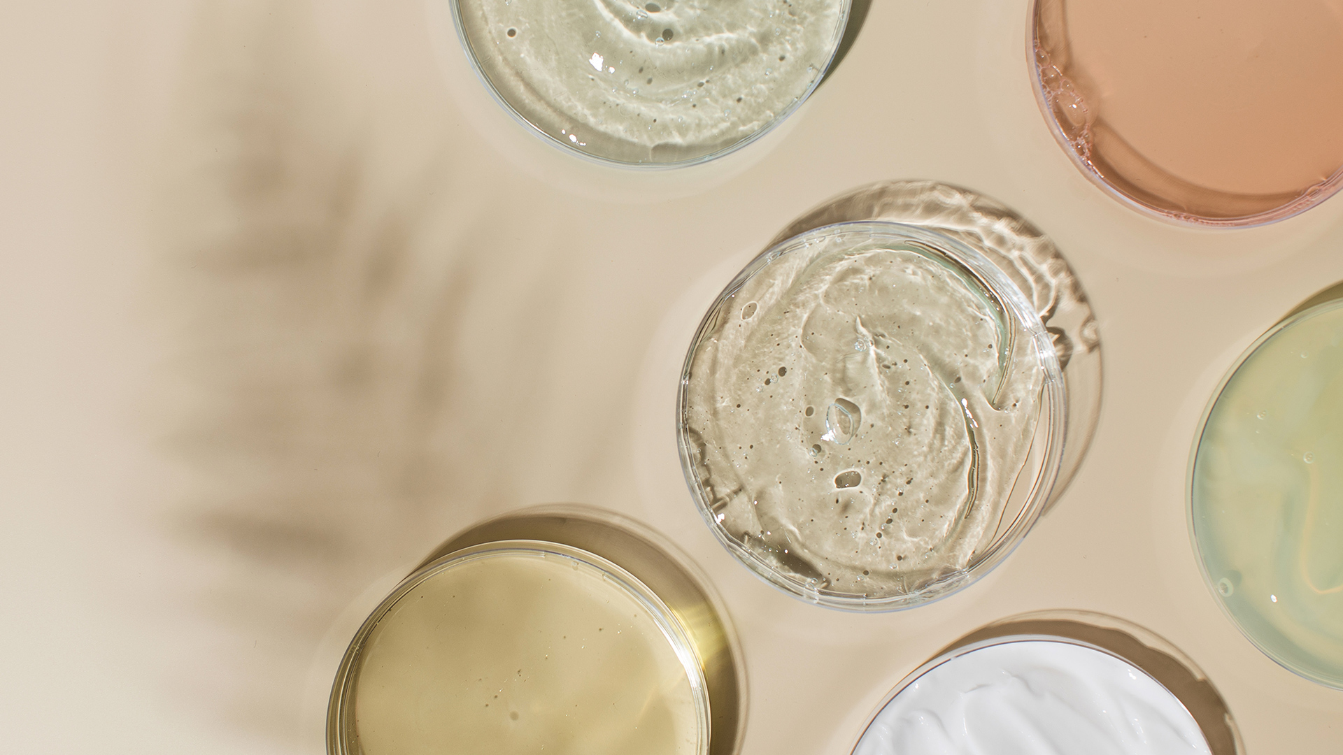 EUPHORIA - PURE BLISS